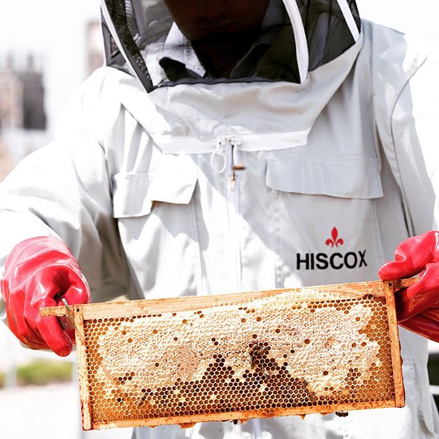 Hiscox Group | Business Insurance, Home Insurance & more